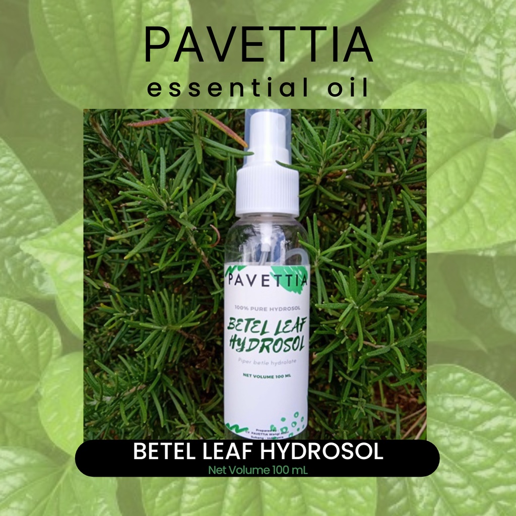 Jual Sample hydrosol 100 ml - betel leaf hydrosol - hidrosol daun sirih ...