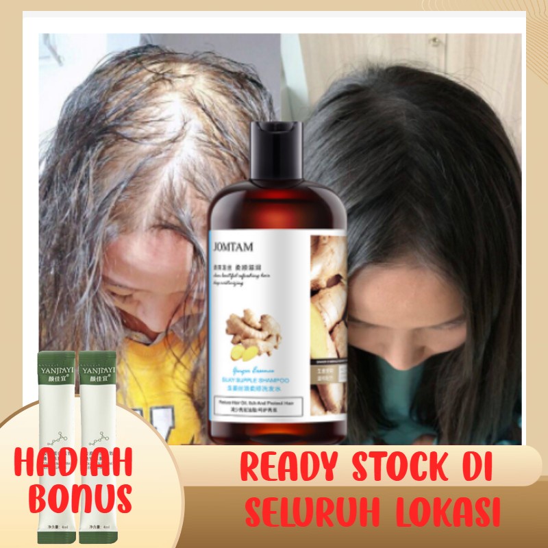 Jual Shampo Jahe 400ml Shampo Penumbuh Rambut Tebal Anti Ketombe Gatal ...