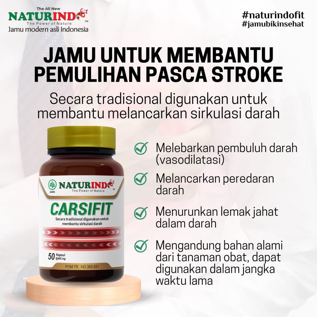 Jual Obat Herbal Stroke Sangat Ampuh Struk Ringan Berat Struke Strok ...