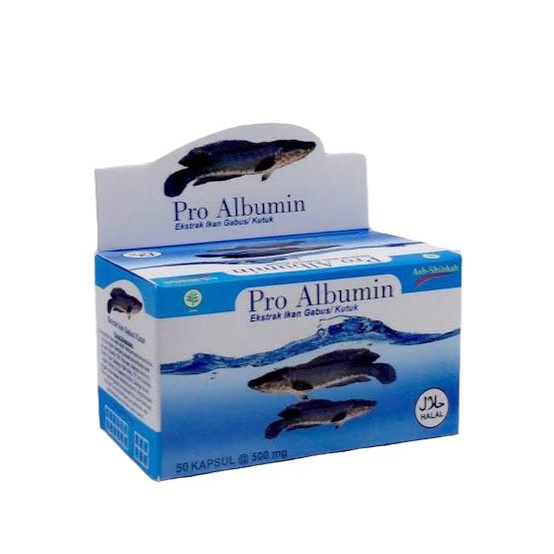 Jual Natapro Pro Albumin Ashihah | Pro Albumin Kapsul Ikan Gabus - 50 ...