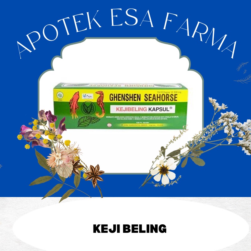 Jual KEJI BELING OBAT BATU GINJAL, KANDUNG KEMIH | Shopee Indonesia