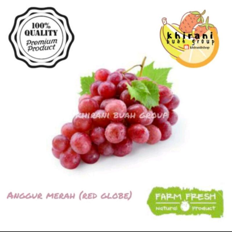 Jual BUAH ANGGUR RED GLOBE 1KG | Shopee Indonesia