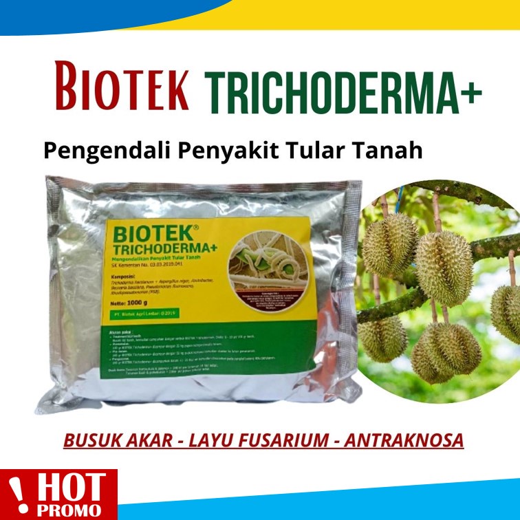 Jual Fungisida Hayati Trichoderma sp Anti Jamur Busuk Batang Daun Akar ...