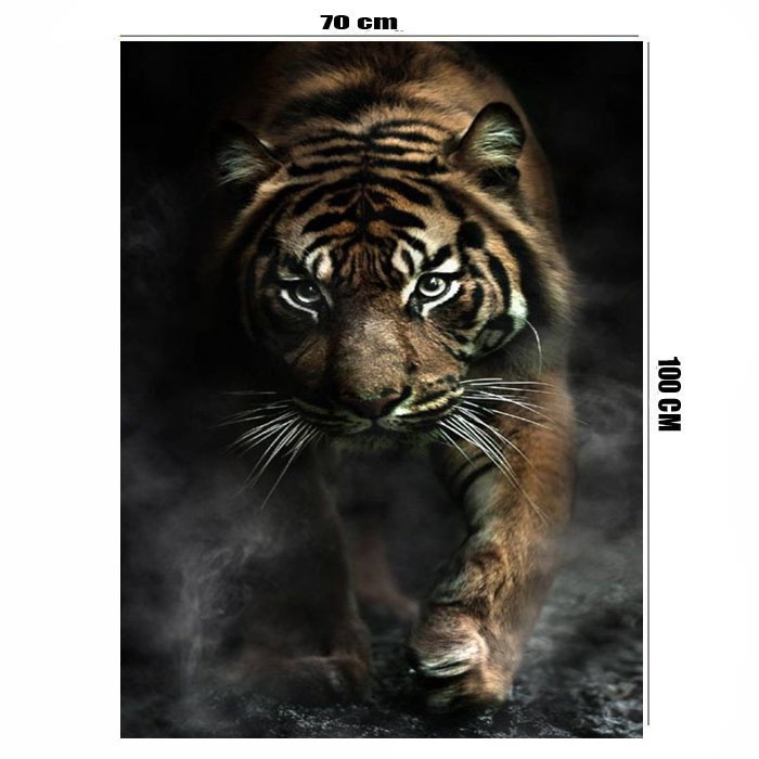 Jual Poster jumbo uk 70 x 100 bahan albatros motiv Harimau sumatra ...