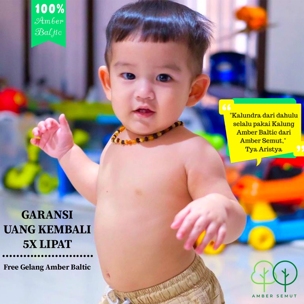 Jual PROMO FREE GELANG - Kalung Amber Baltic Tumbuh Gigi by AMBER SEMUT ...