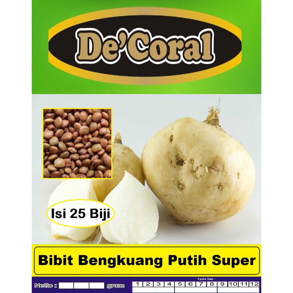 Jual Bibit Bengkuang Putih Super | Bibit Bangkuang Putih Super ...