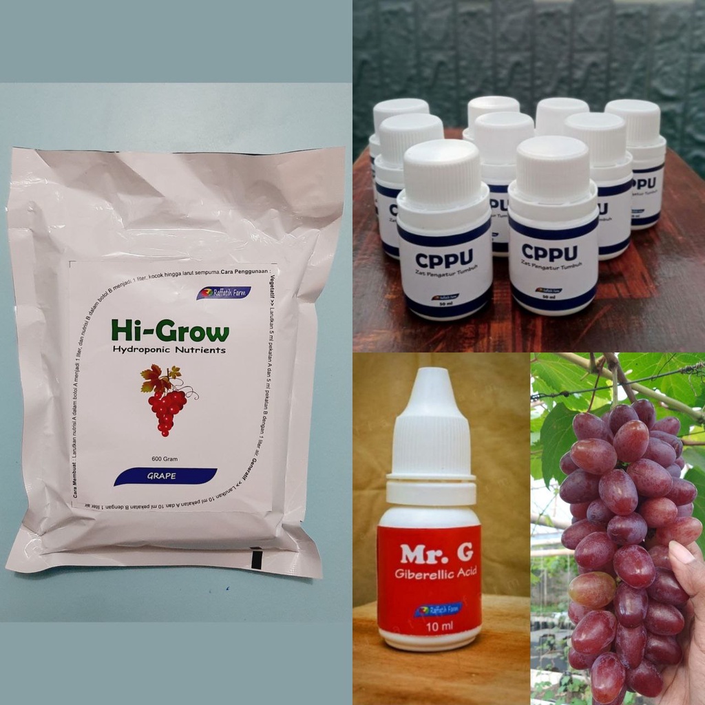 Jual 1 Paket Bundling Pupuk Anggur Hi-Grow + CPPU 50 ml + Mr. G - by ...