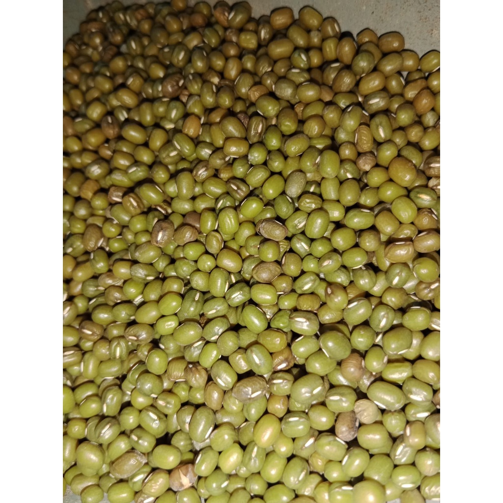 Jual KACANG HIJAU 1KG | Shopee Indonesia