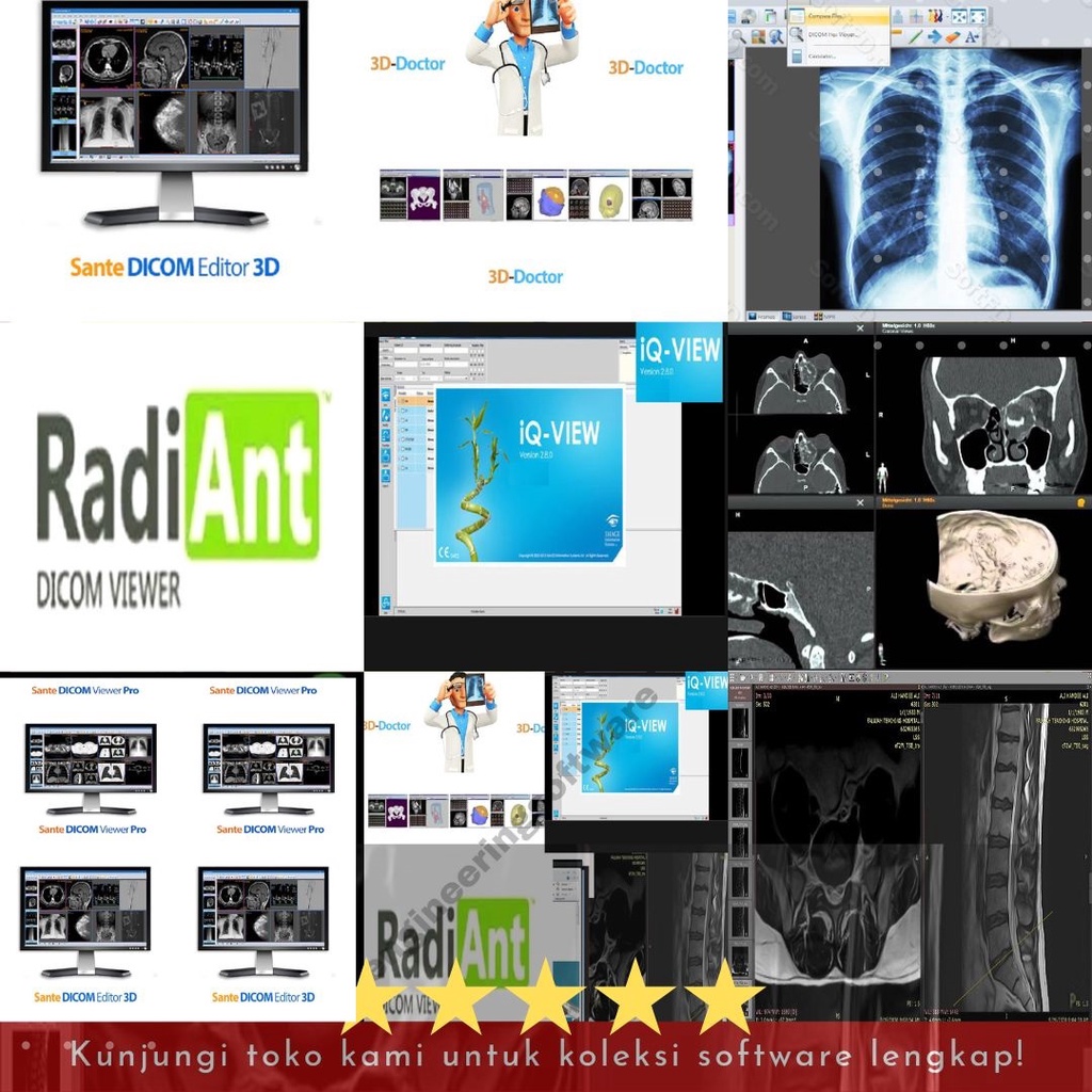 Jual [work]3D Doctor Radiant Dicom 2023 IQ View Sante Dicom Viewer3D ...