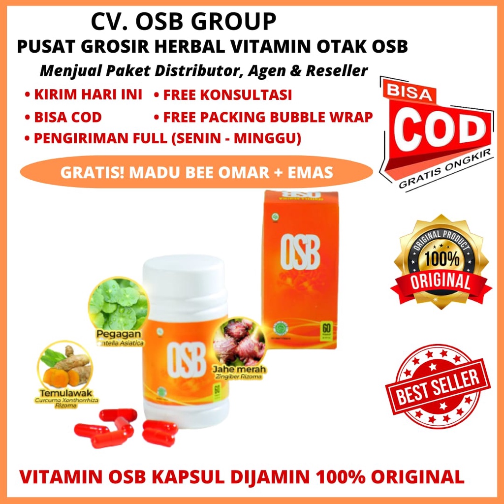Jual OSB Kapsul Vitamin Otak Anak Dan Dewasa Bantu Atasi Kepikunan Dini ...