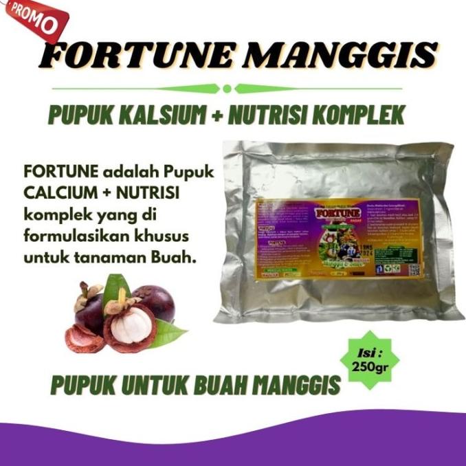 Jual Pupuk Kalsium Tanaman Untuk Pohon Manggis, Fortune Booster Anti ...