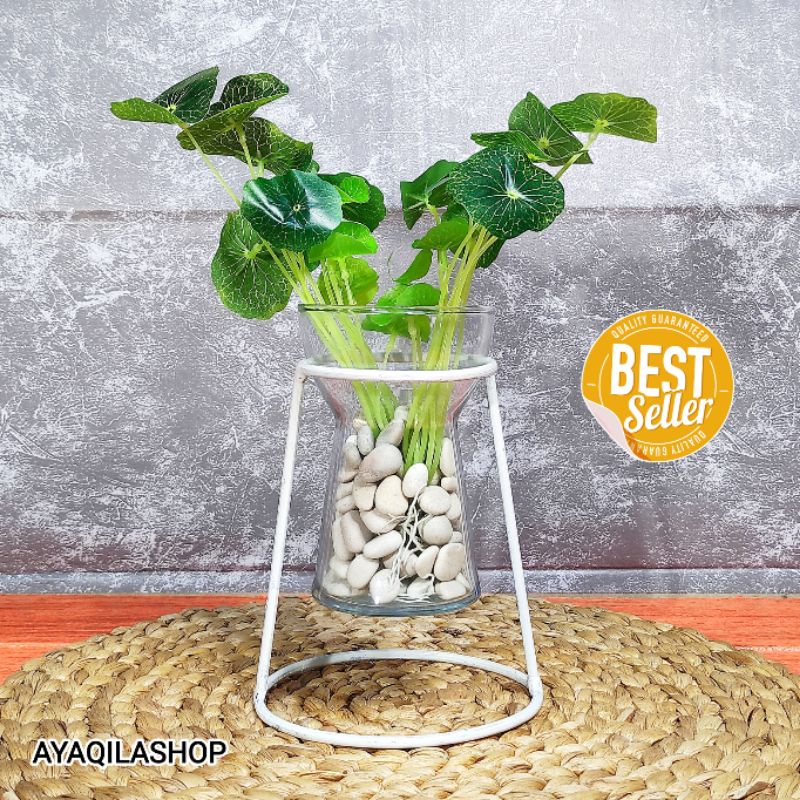 Jual Vas Bunga Kaca Stand Besi Aesthetic / Pot Hidroponik / Pajangan ...