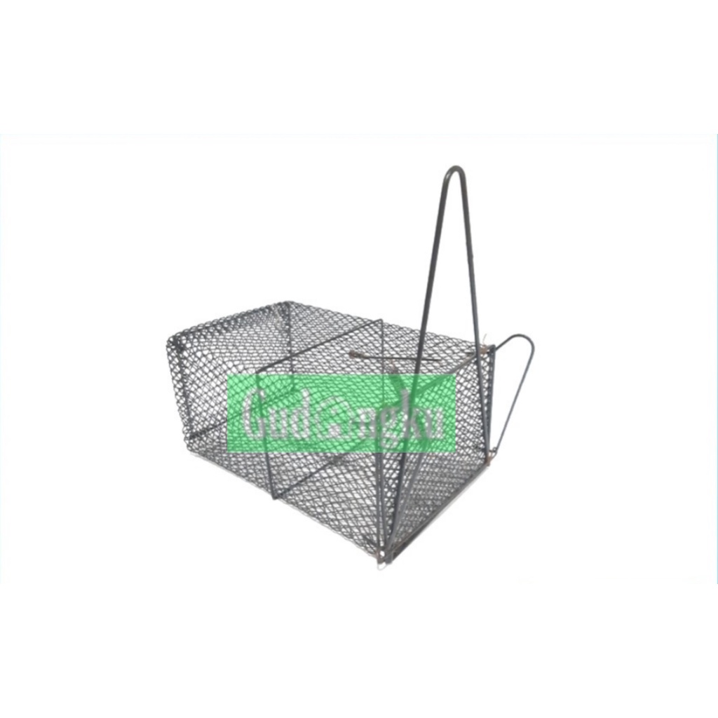 Jual Perangkap Tikus / Jebakan Tikus 25cm x 16cm x 13cm | Shopee Indonesia