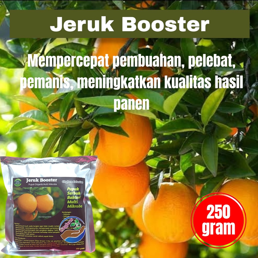 Jual Pupuk Booster Jeruk Super Organik Pelebat Buah Dan Anti Rontok 250gr | Shopee Indonesia