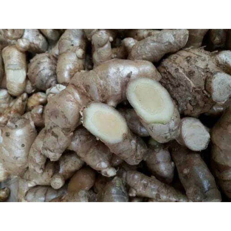 Jual COD-Kunyit Putih/Temu Putih Segar 1kg Curcuma Zedoaria | Shopee ...