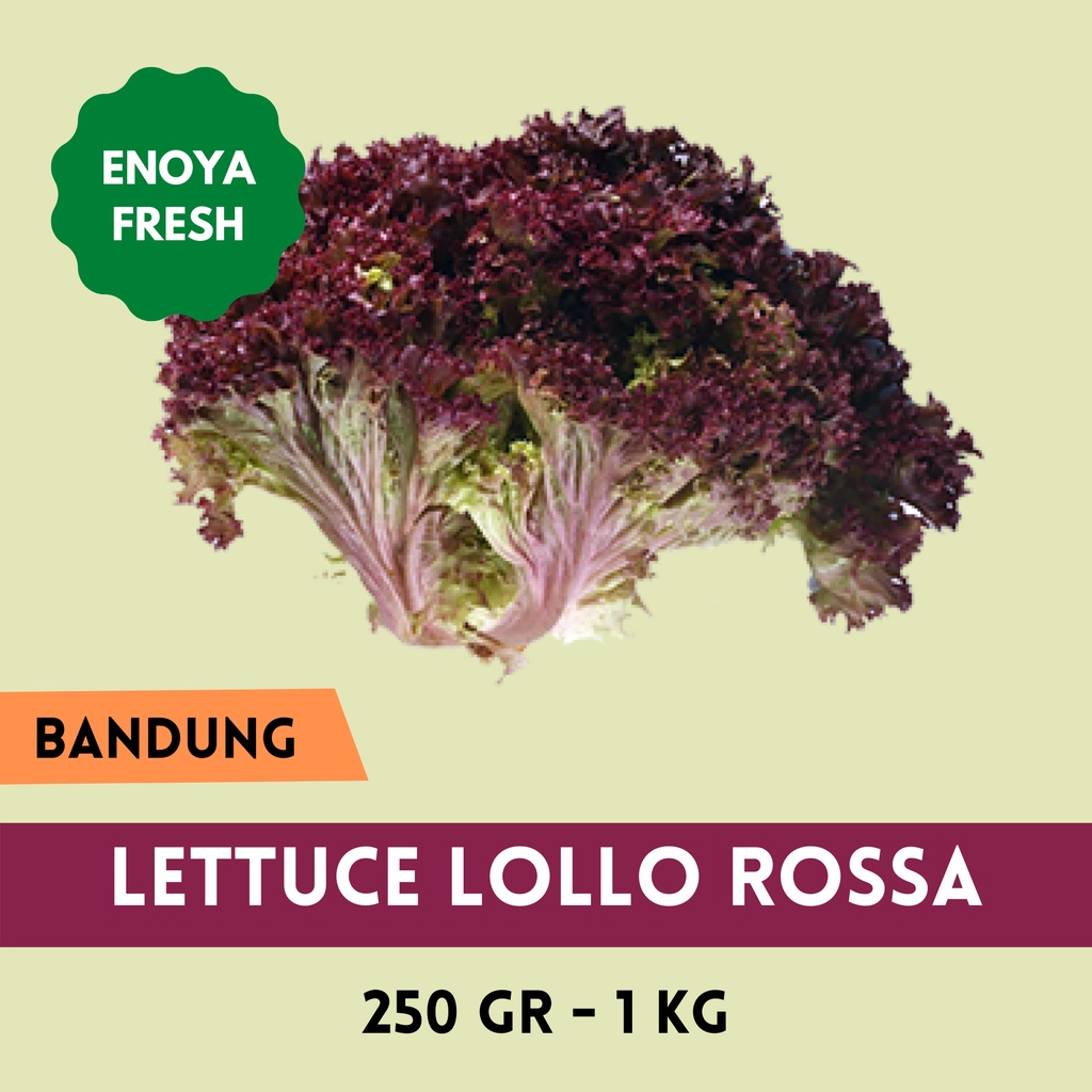 Jual Lollo Rossa 250 GRAM - 1 KG Bandung | Shopee Indonesia