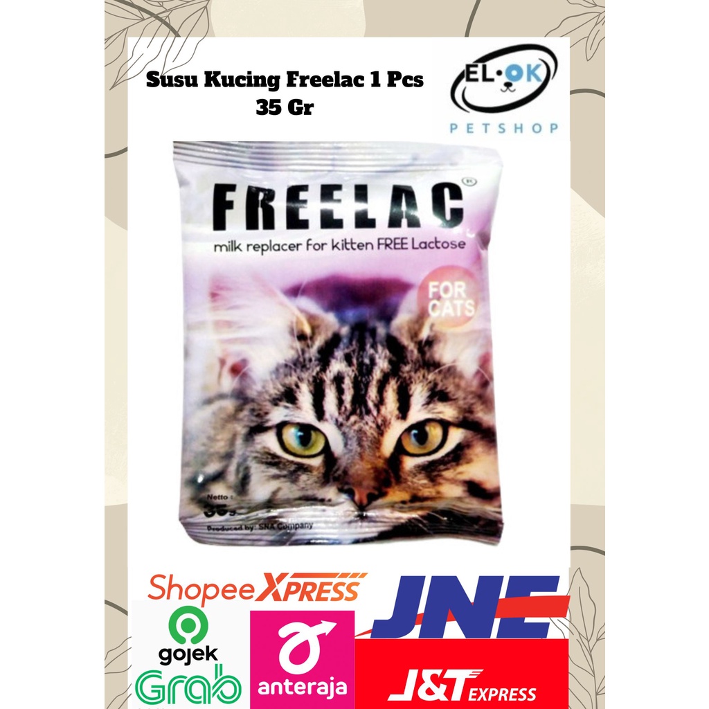 Jual FREELAC Milk Replacer For Kitten susu kucing Free Lactosa sachet ...