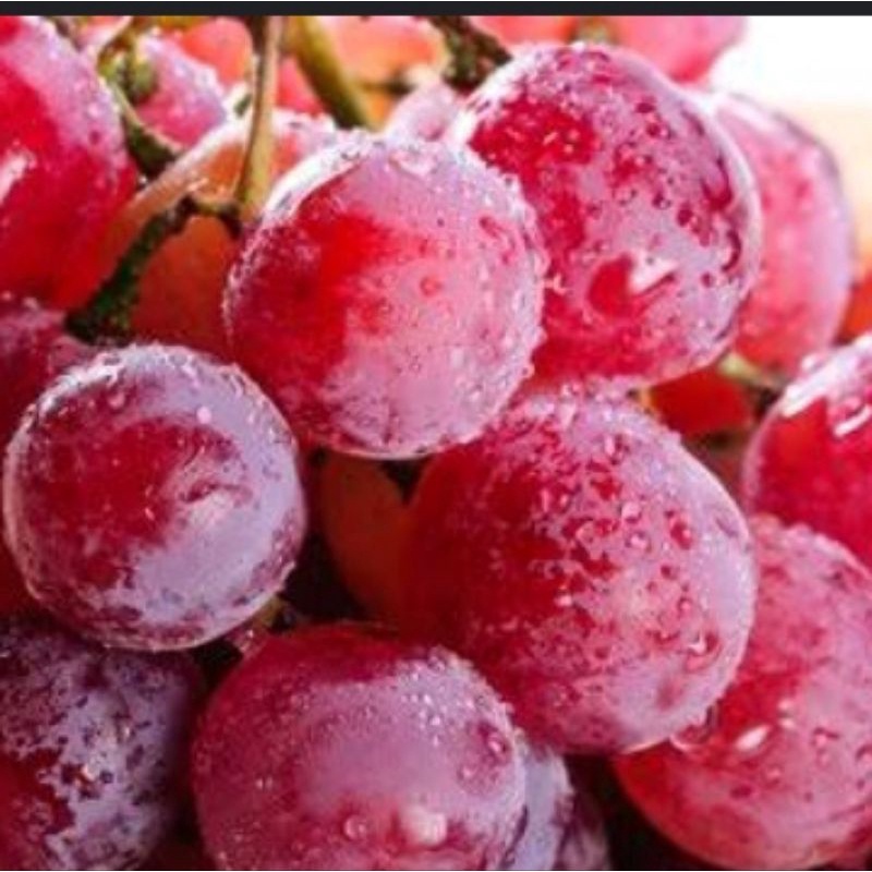 Jual Buah Anggur Merah Australia Fresh Manis ( 500 Gr ) | Shopee Indonesia