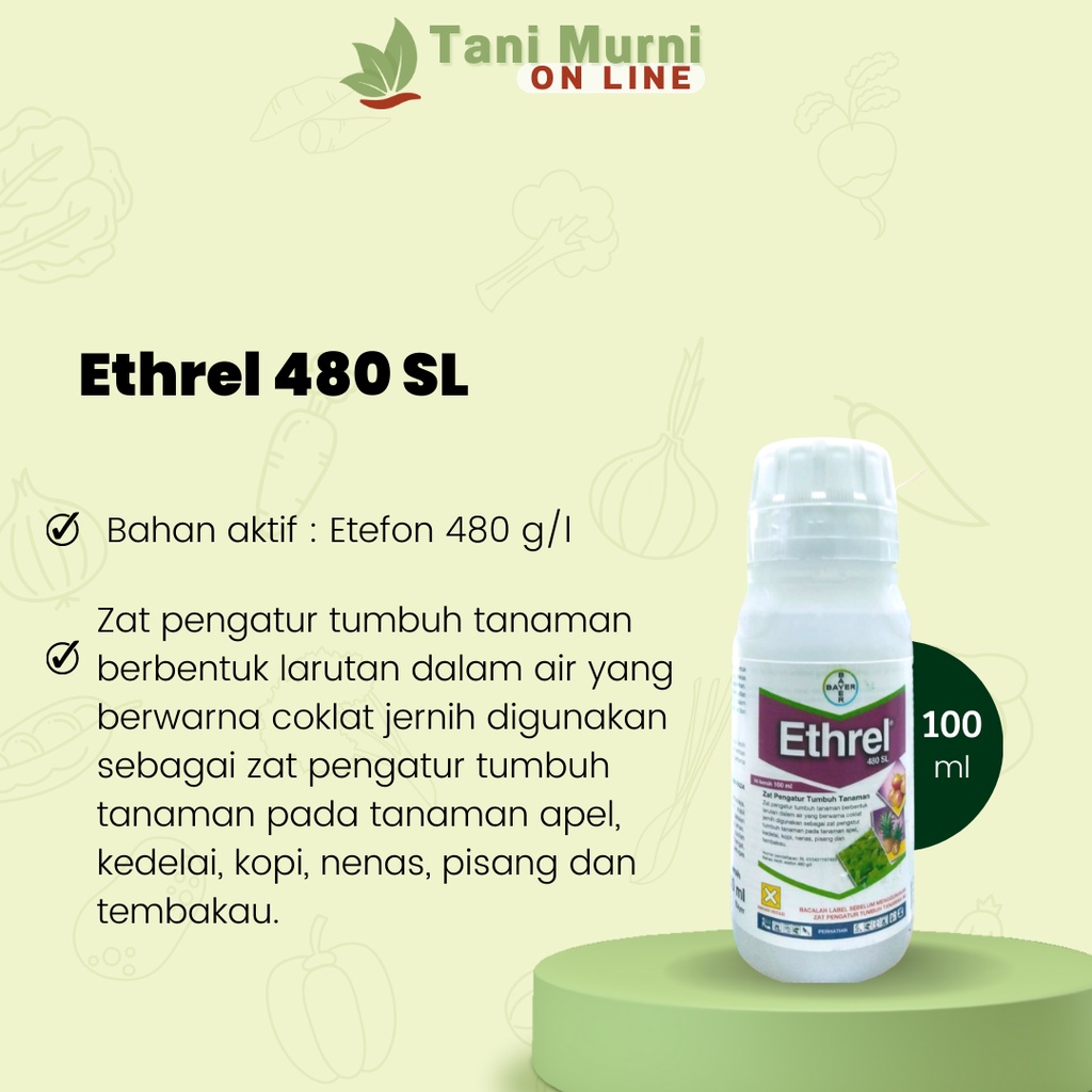 Jual Zat Untuk Pemasak Buah ETHREL Bayer 100 ml | Shopee Indonesia