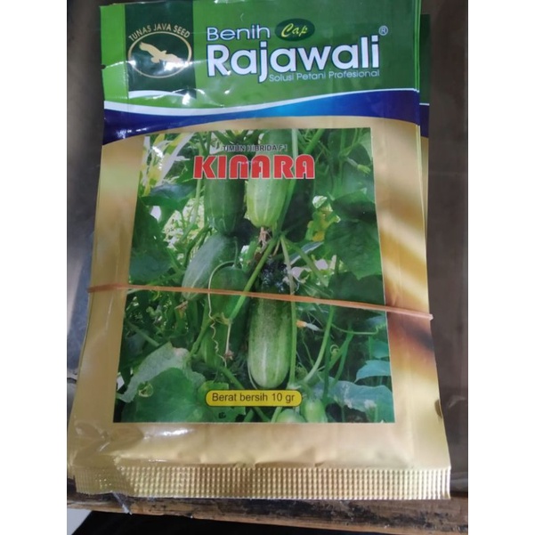Jual obat pertanian benih timun KINARA CAP RAJAWALI 10GR | Shopee Indonesia