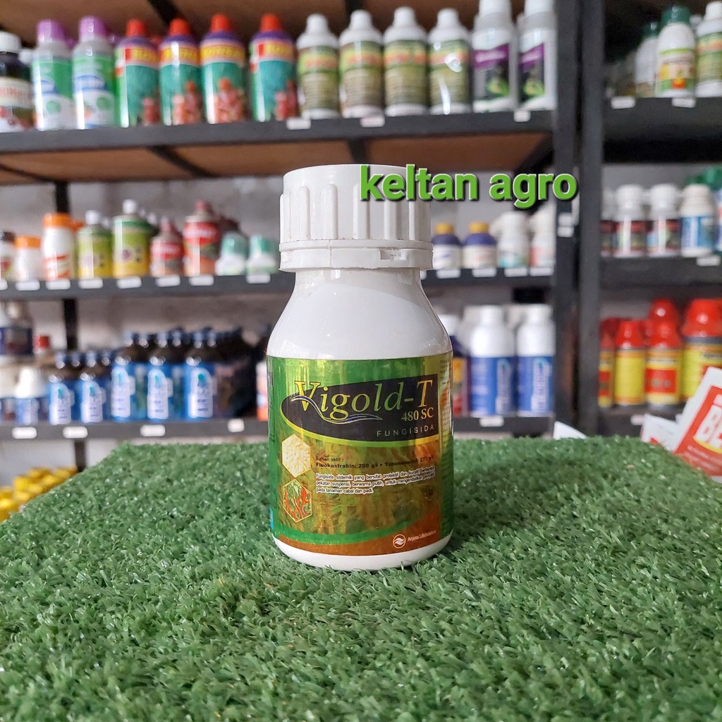 Jual VIGOLD - T 480 SC ( 250 ml ) | Shopee Indonesia
