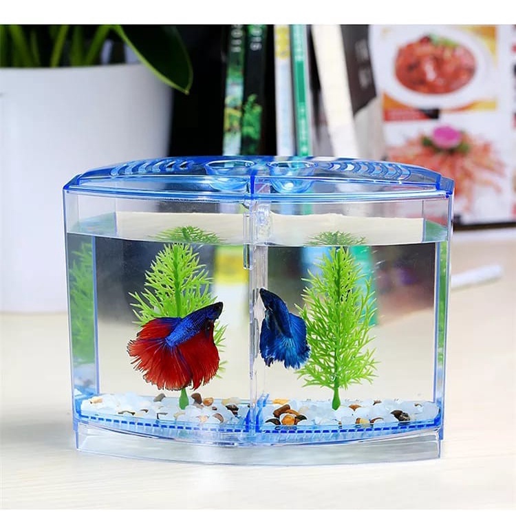 Jual Akuarium Mini Fish Tank Tangki Ikan Cupang Guppy Aquarium Sekat ...