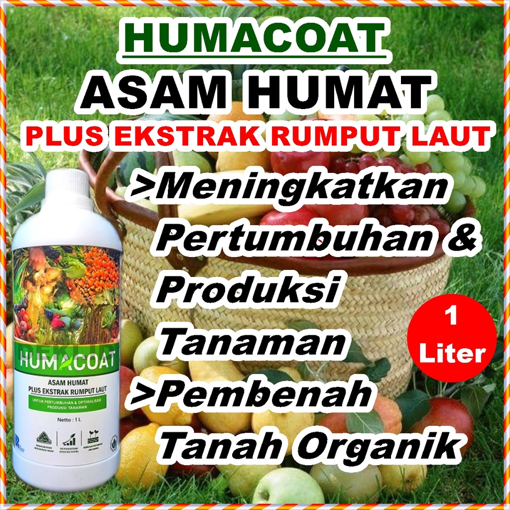 Jual Asam Humat Plus Ekstrak Rumput Laut Humacoat 1 Liter Seaweed Pupuk Organik Cair Humic Acid ...