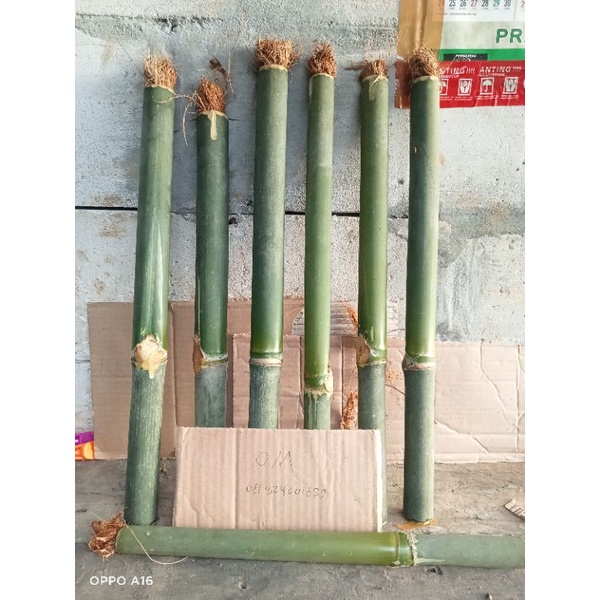 Jual obor bambu tradisional lengkap dengan sumbu nya siap pake | Shopee ...