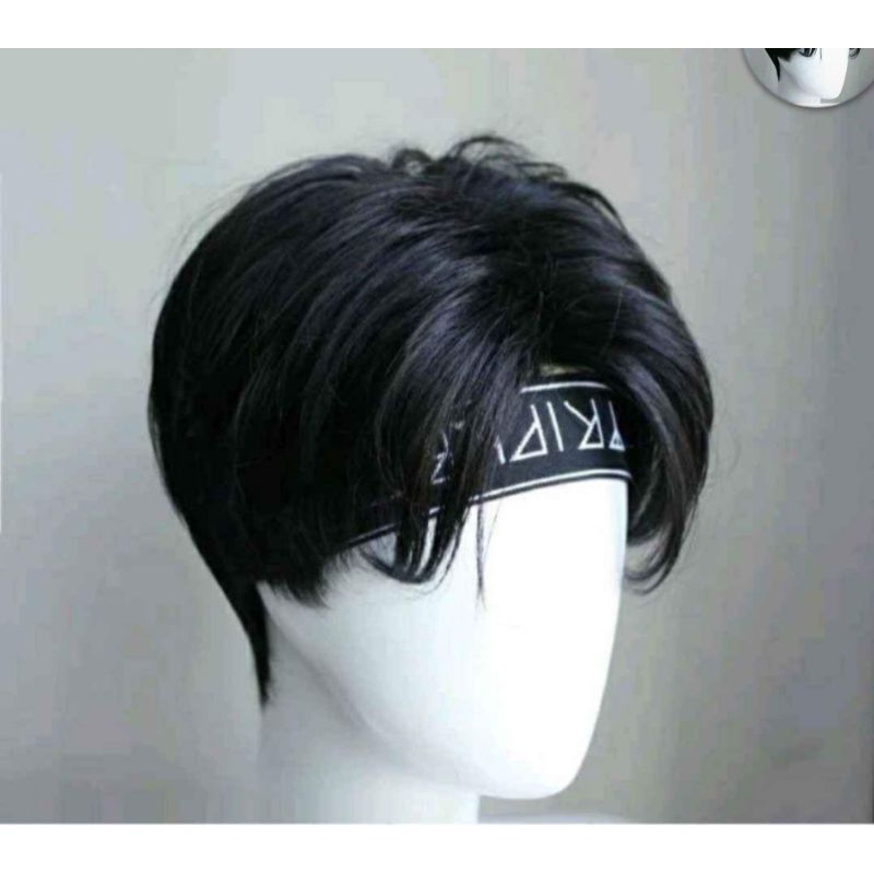 Jual wig pria | Shopee Indonesia