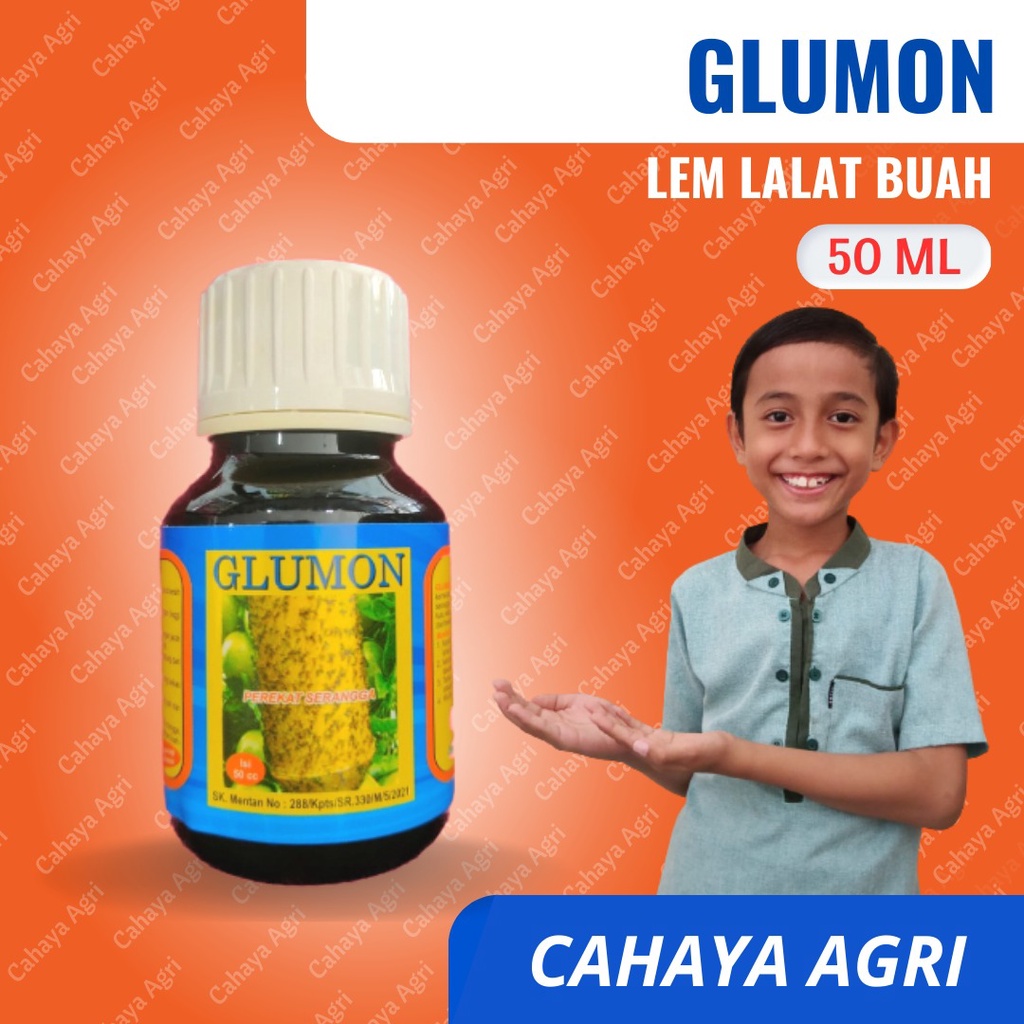 Jual LEM LALAT BUAH - GLUMON 50 ML | Shopee Indonesia