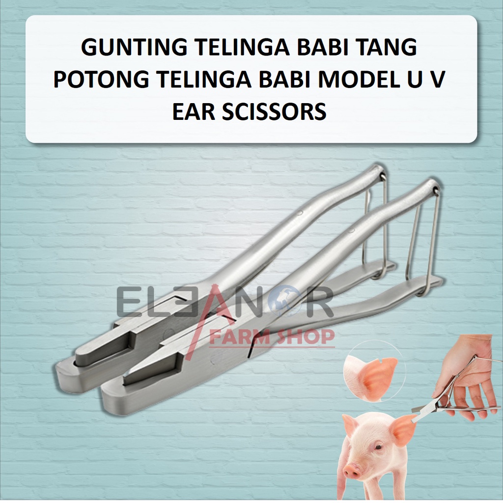 Jual Gunting Potong Telinga Babi Tang Potong Telinga Babi Model U V Ear ...