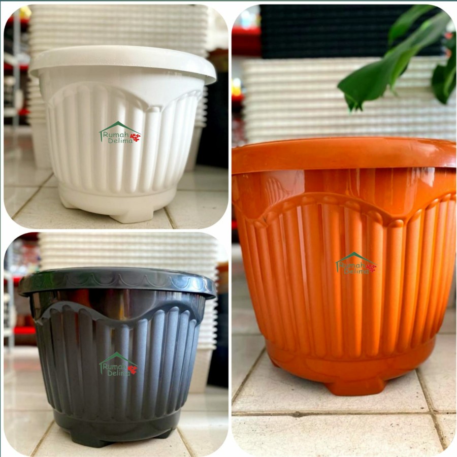Jual Pot bunga tanaman KB shallom 45 | Shopee Indonesia