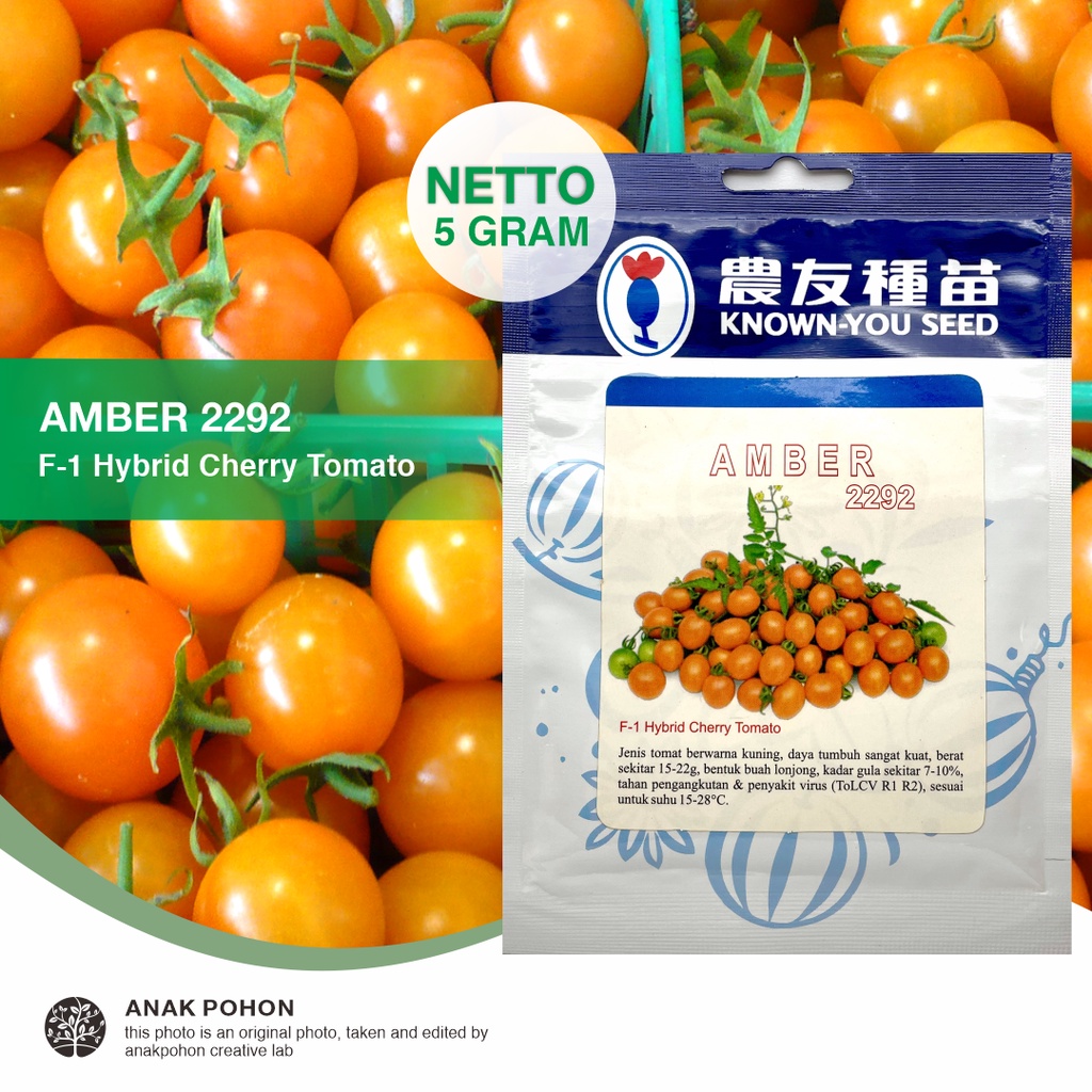 Jual (1 PACK) Benih Tomat Mini Amber 2292 F1 Hybrid Orange Cherry ...