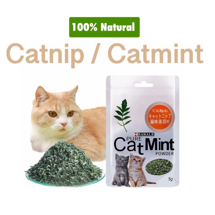 Jual CAT MINT Powder Sachet | CAT NIP Serbuk / Bubuk Catnip Kucing ...