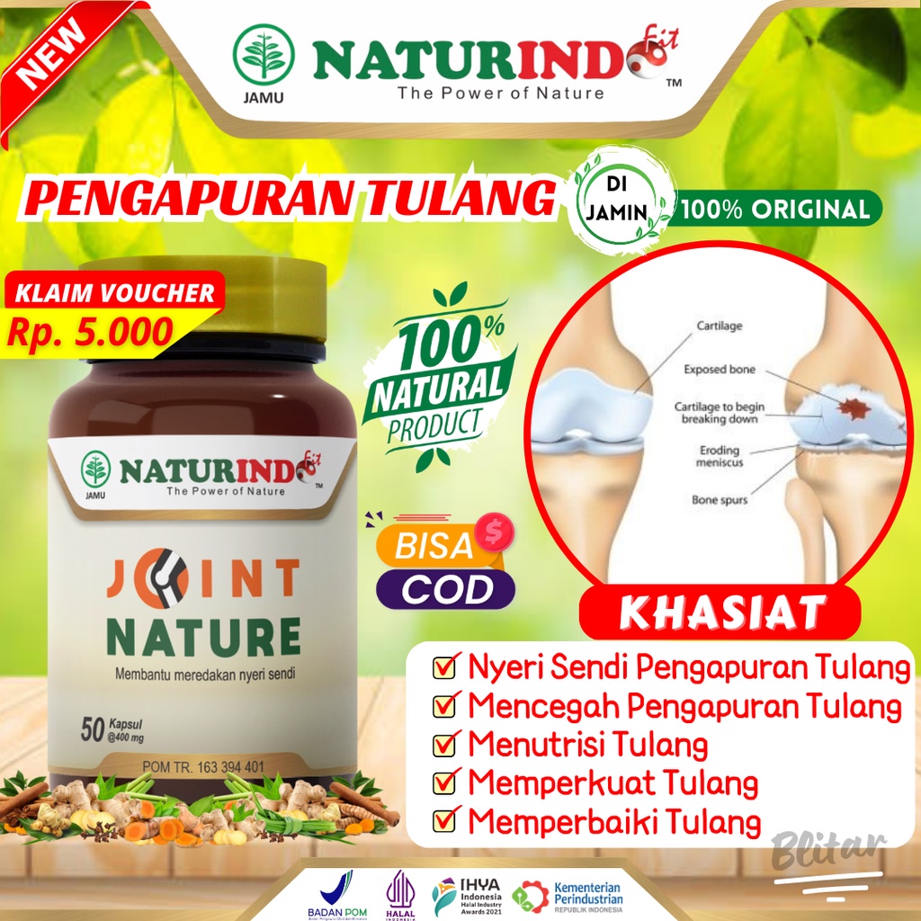 Jual Obat Herbal Nyeri Sendi Lutut Jamu Pegal Linu Pengapuran Tulang ...