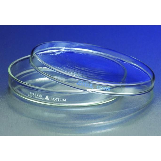 Jual PYREX 3160-102 Petri Dish 100x20 | Cawan Petri suk06 | Shopee ...