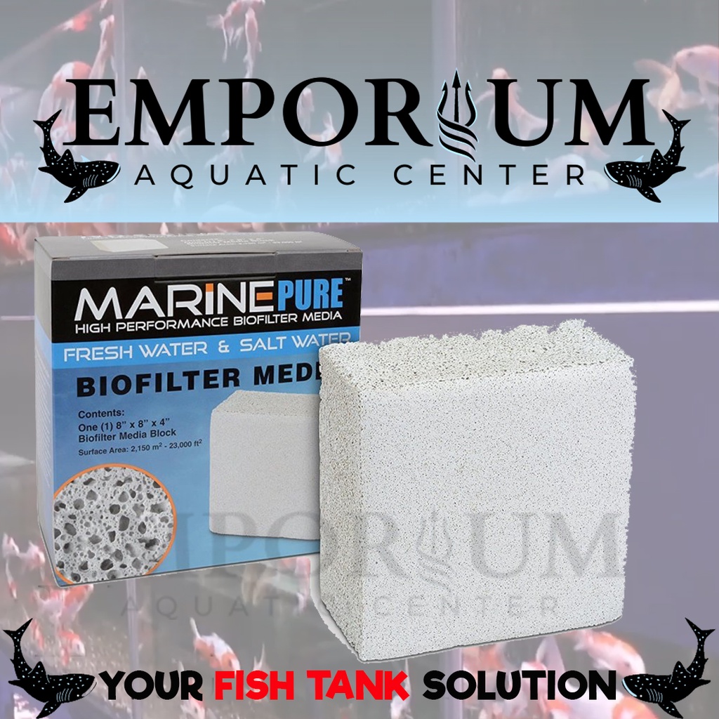 Jual Media Biologis Filter Aquarium Sump/Top Filter/kolam ikan Marine ...