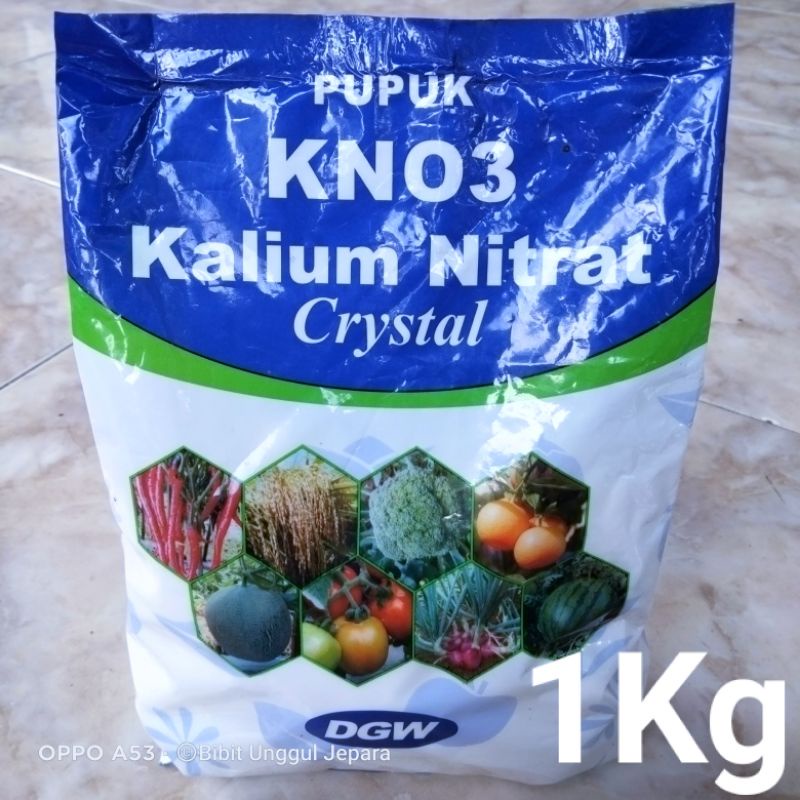 Jual PUPUK KN03 CRISTAL UNTUK PEMBUNGAAN 1KG | Shopee Indonesia