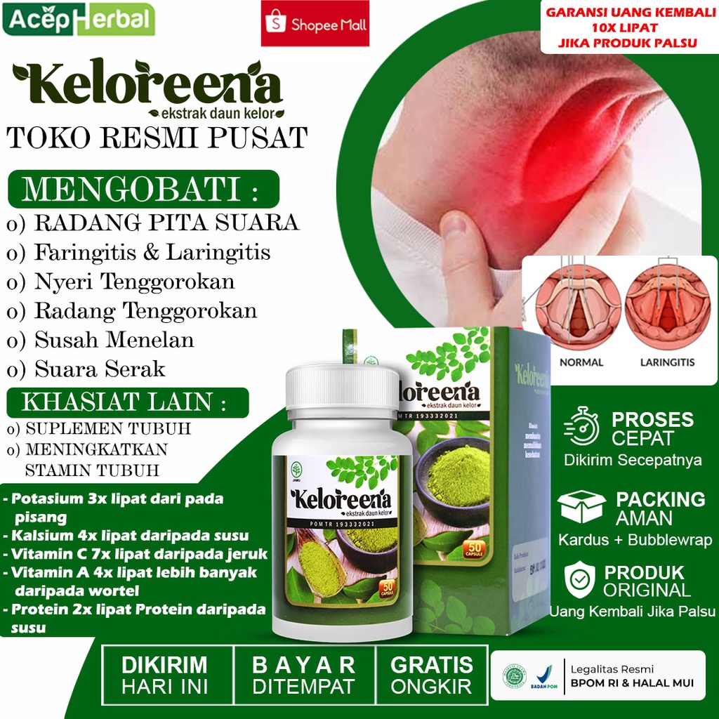 Jual Obat Radang Pita Suara Gangguan Pada Pita Suara Gurah Pita Suara ...