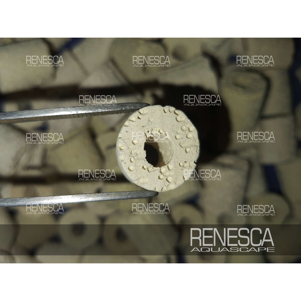 Jual Super Ceramic Bio Ring Rumah Bakteri 1 Pcs - Media Filter Kolam ...