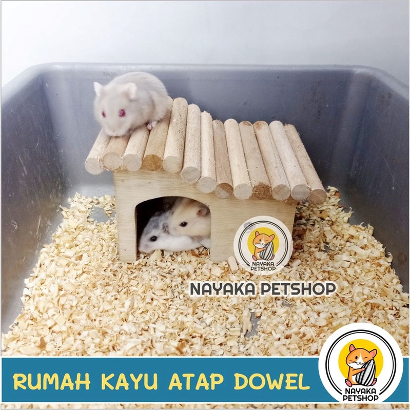 Jual Rumah Kayu Hamster Atap Dowel Kandang Tupai Wooden Home House ...