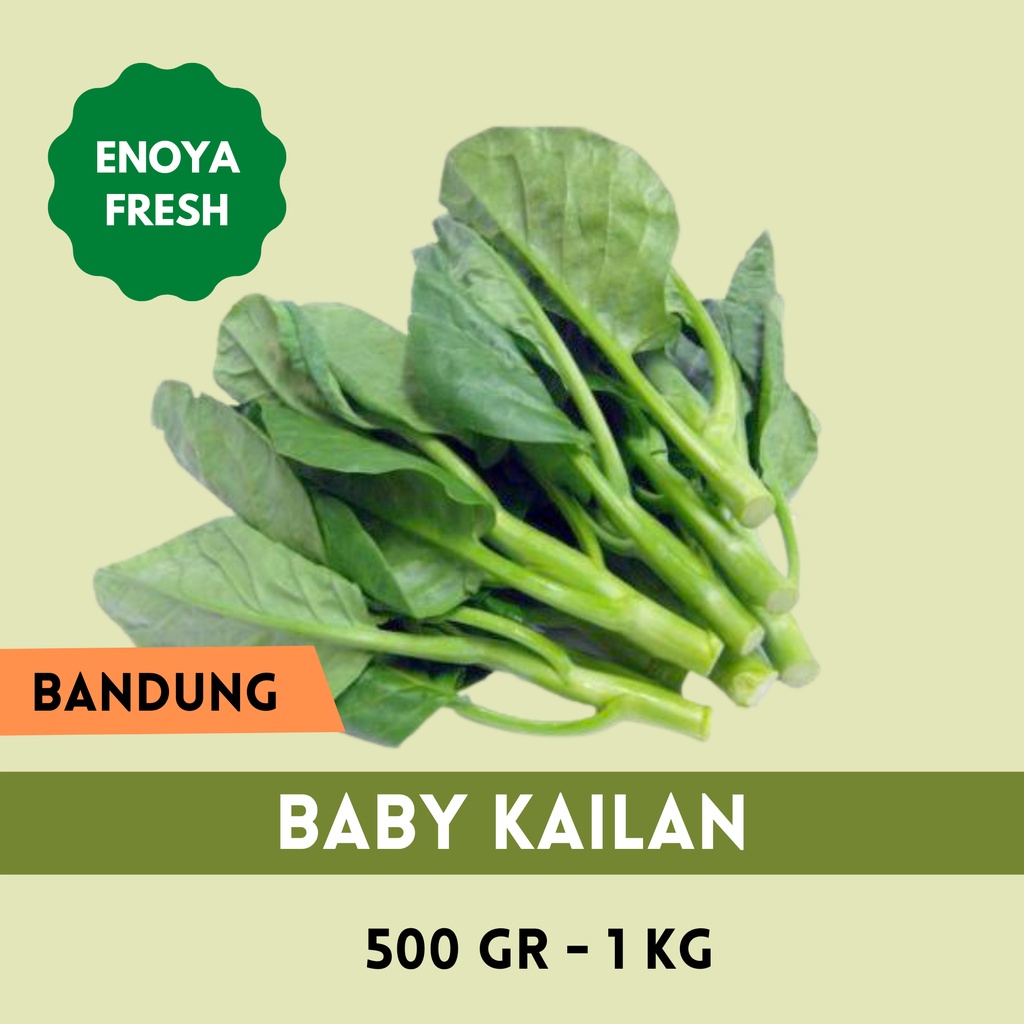 Jual Baby Kailan 500 gram - 1 kg Bandung | Shopee Indonesia
