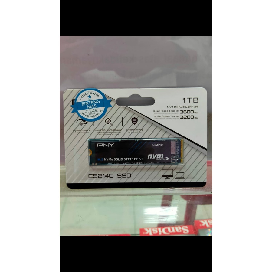 Jual PNY SSD M.2 NVME CS 2140 1 TERRA | Shopee Indonesia