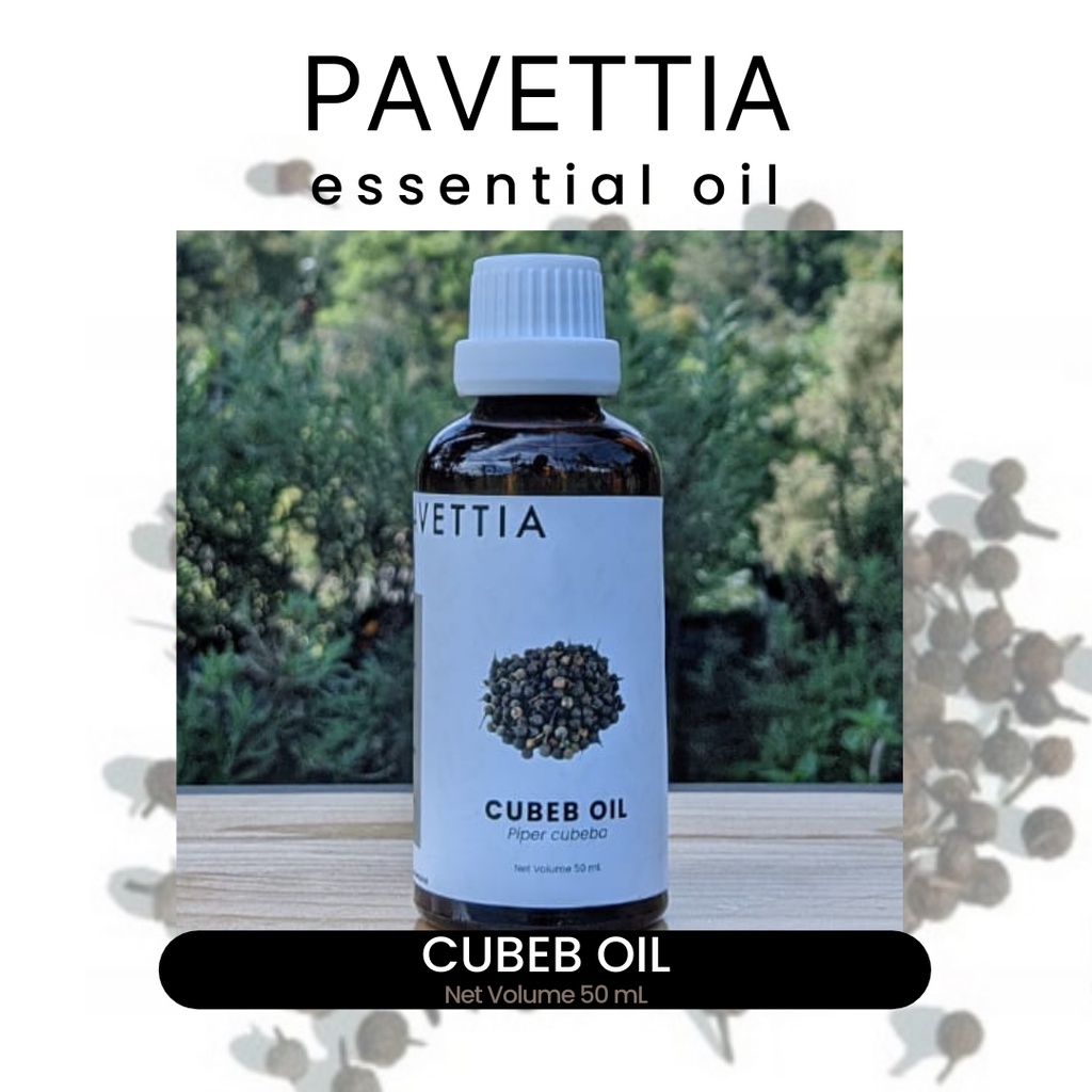 Jual 50 ml - Cubeb essential oil / minyak atsiri kemukus (Piper cubeba ...