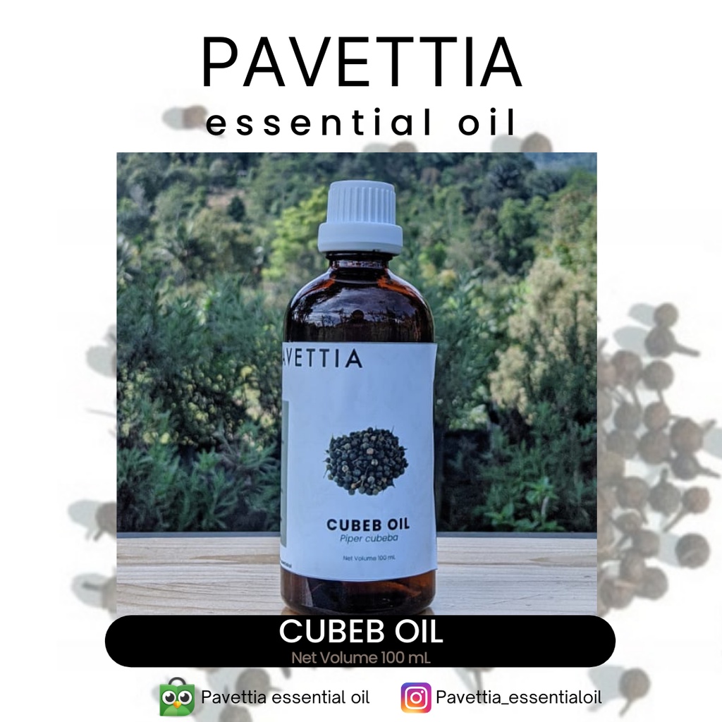 Jual 100 ml - minyak atsiri kemukus / cubeb essential oil (Piper cubeba ...