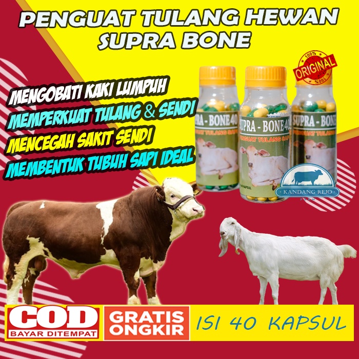 Jual Obat Sapi Pmk Supra Bone Penguat Tulang Isi 40 Kapsul | Shopee ...
