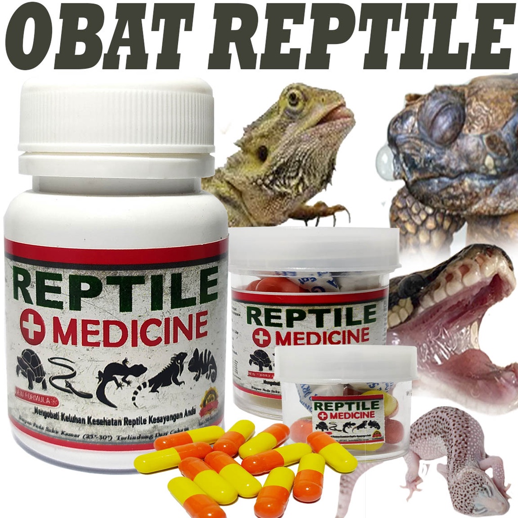 Jual OBAT REPTILE SUPLEMEN MEDICINE MOGOK MAKAN LEMAS PILEK DIARE ...