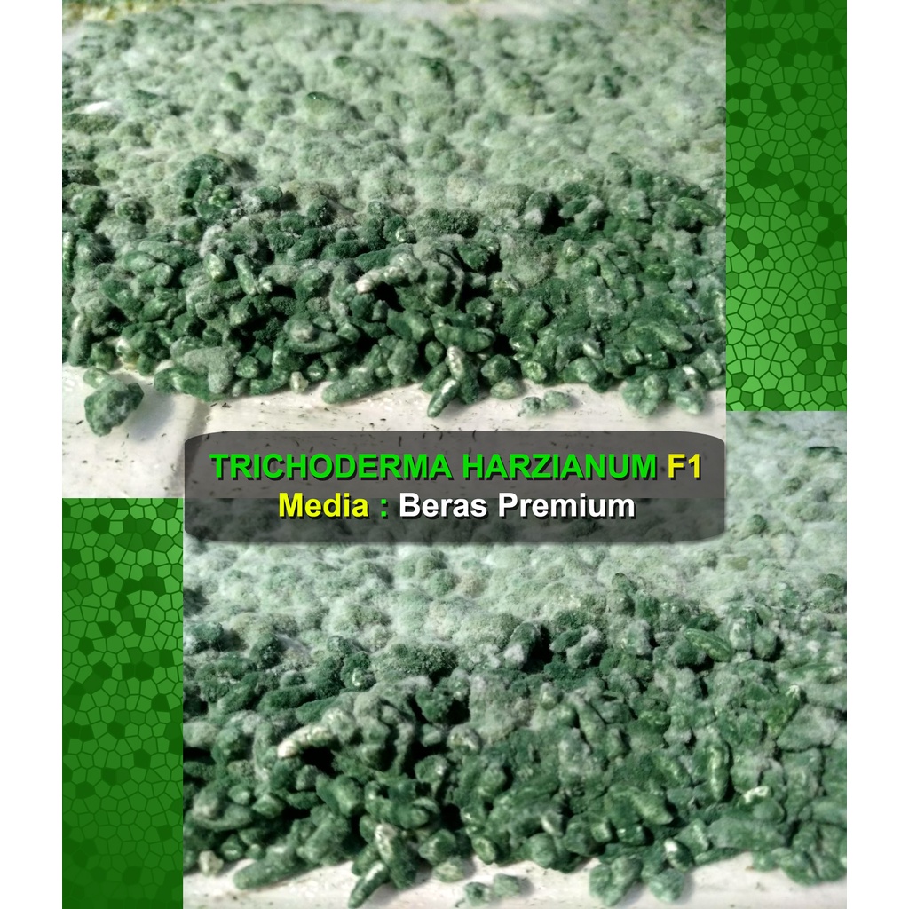 Jual Pupuk Trichoderma Harzianum F1 500 Gram Fungisida Pupuk Hayati ...