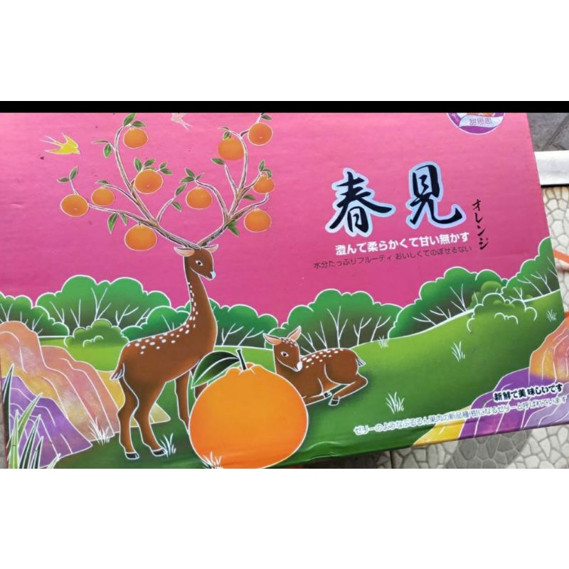 Jual jeruk dekopon/papagan gift box | Shopee Indonesia
