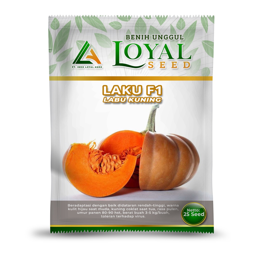 Jual BENIH LABU KUNING LAKU / BIBIT LABU KUNING LAKU KEMASAN 25 BUTIR ...